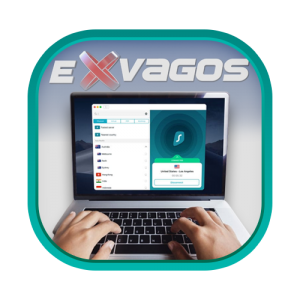 ¿Qué pasa con Exvagos 1 en 2025? Cómo entrar a la página